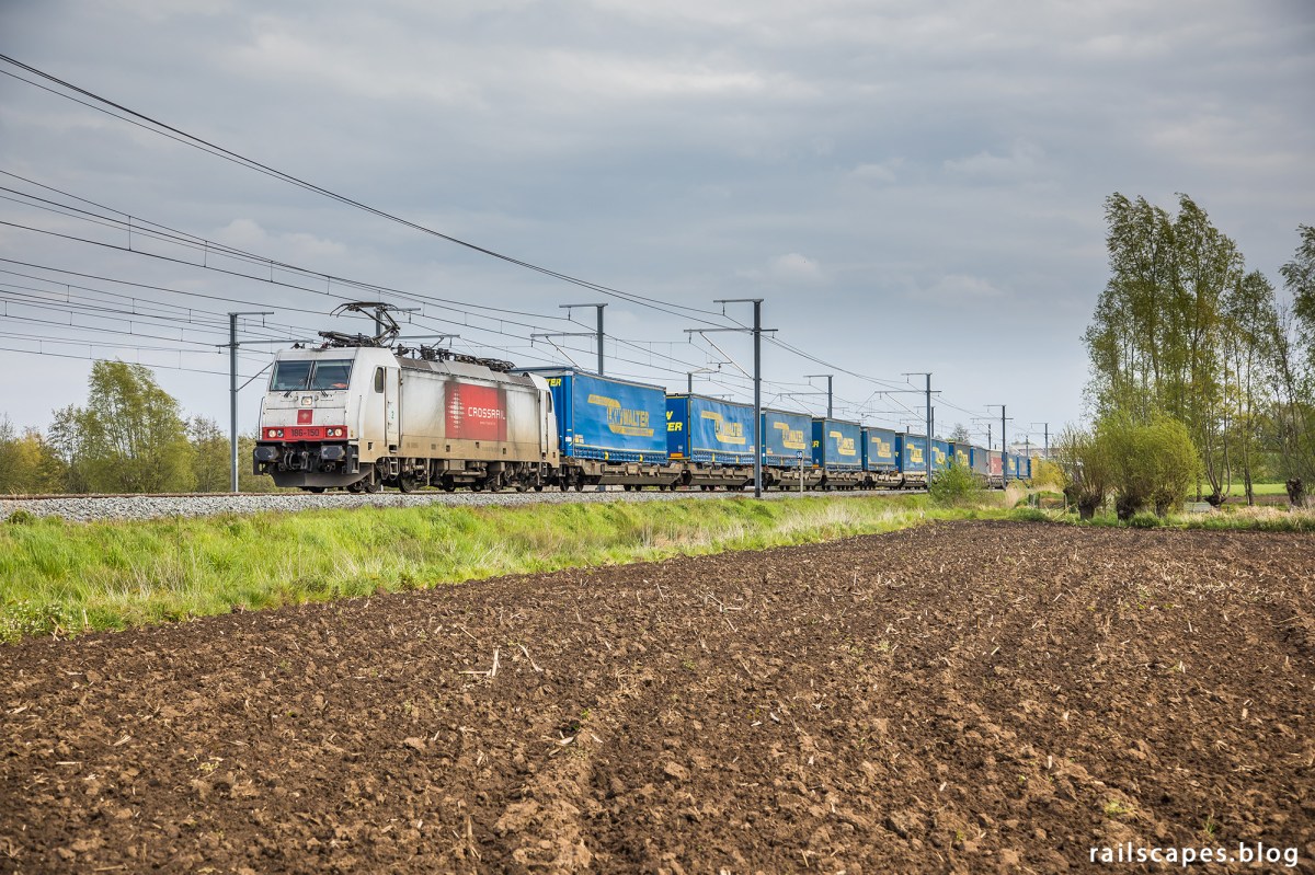 Vegetable garden – Railscapes